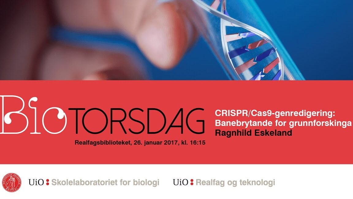 Forslag og motargumenter om embryoniske stamceller: En omfattende analyse