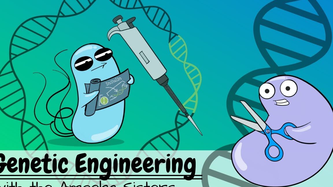 The PROS and CONS of BIOETHICS - ETHICAL DILEMMAS Explained